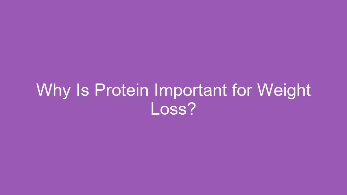 Why Is Protein Important for Weight Loss? - ellipticalking.com