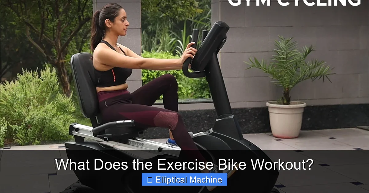 What Does the Exercise Bike Workout? - ellipticalking.com