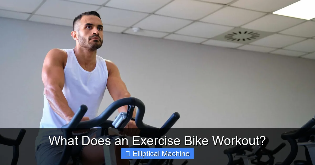 What Does an Exercise Bike Workout? - ellipticalking.com